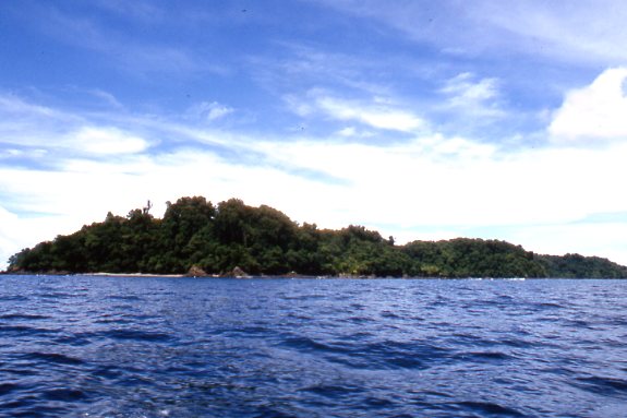 The Stone Spheres of Isla del Caño