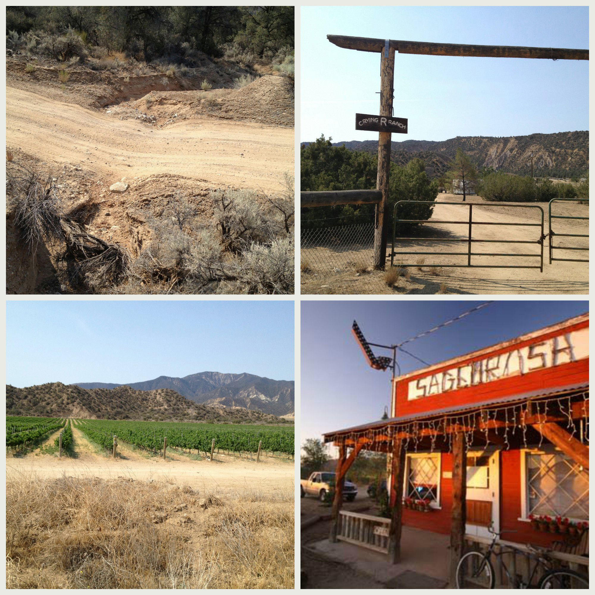 California Back Road: Quatal Canyon