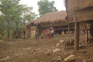 Mts. Iglit-Baco, Philippines: Into the Savannas