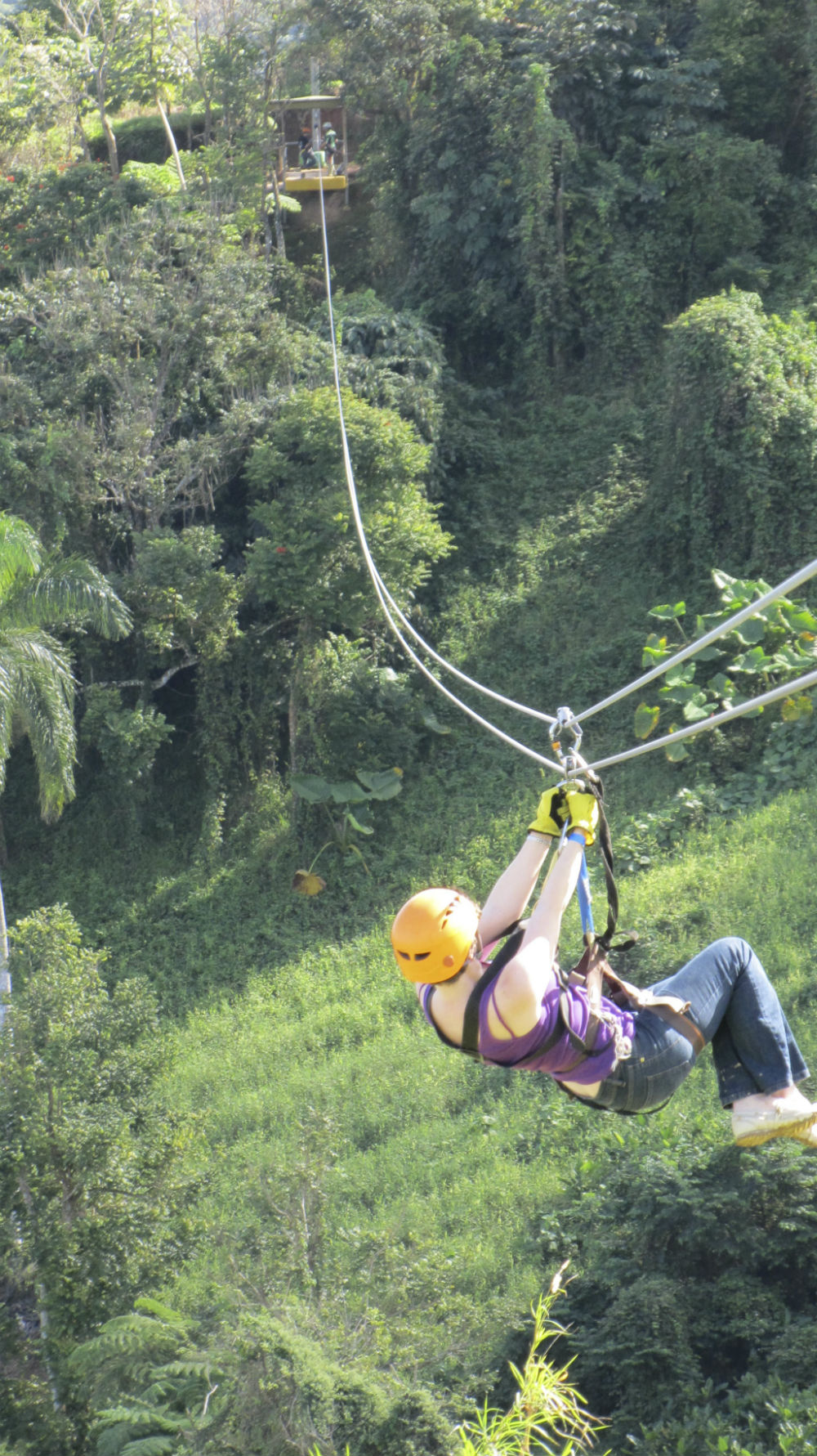 Over the Trees in Puerto Rico