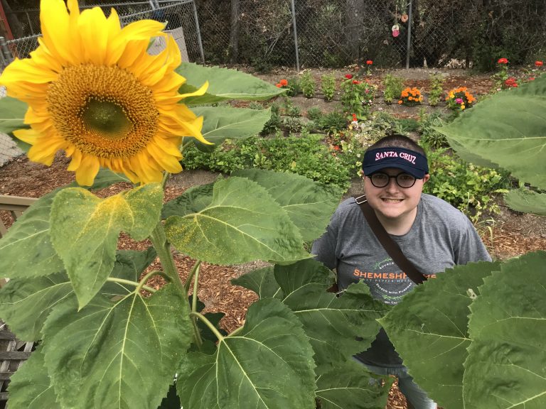 ShemeshFarms: A Story About Resilience