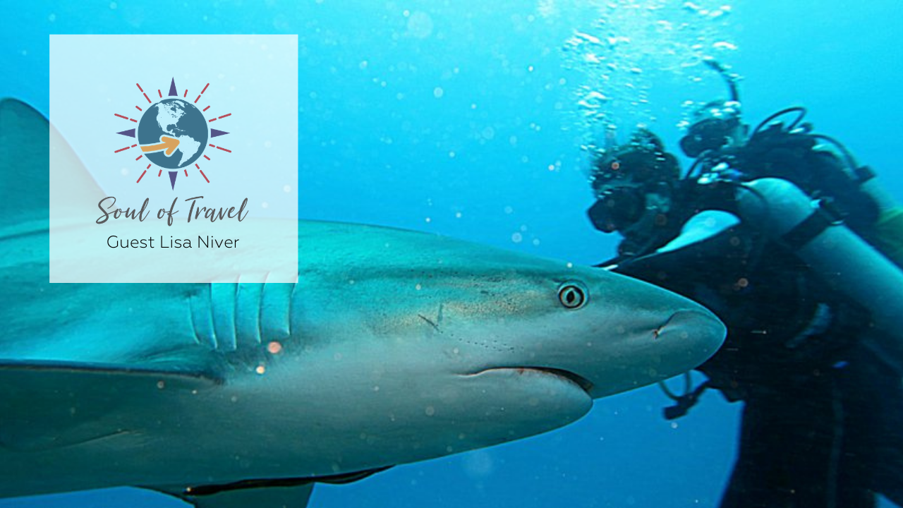 Soul of Travel interviews Lisa Niver