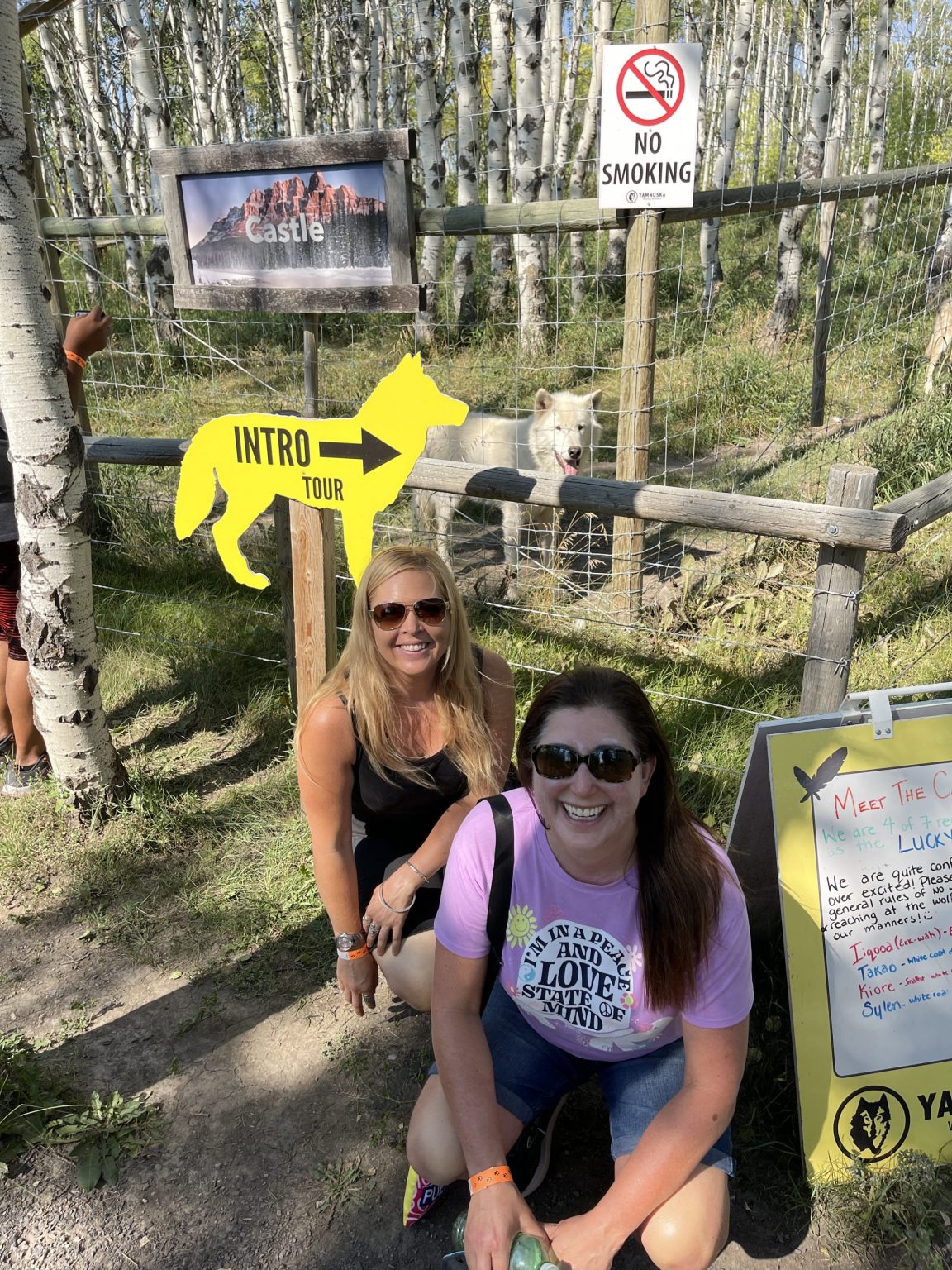 What to DO in CALGARY, Canada?