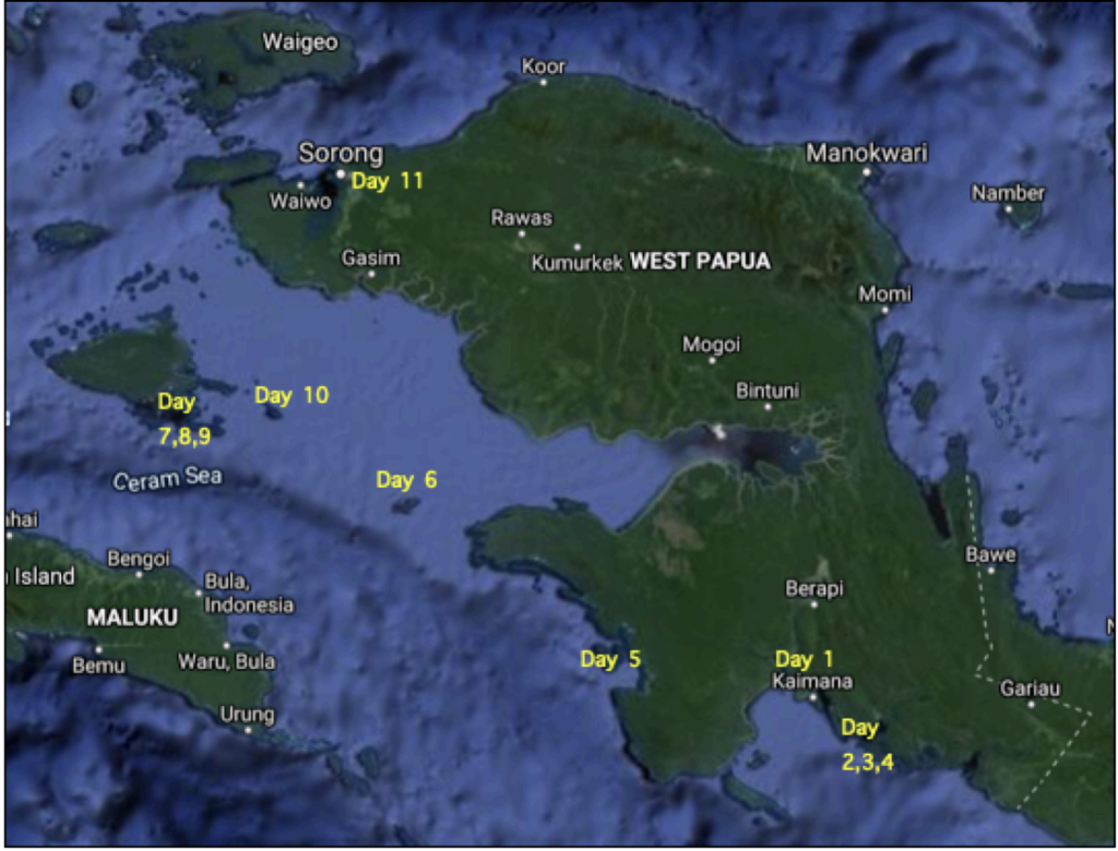 Dive into Raja Ampat with Me