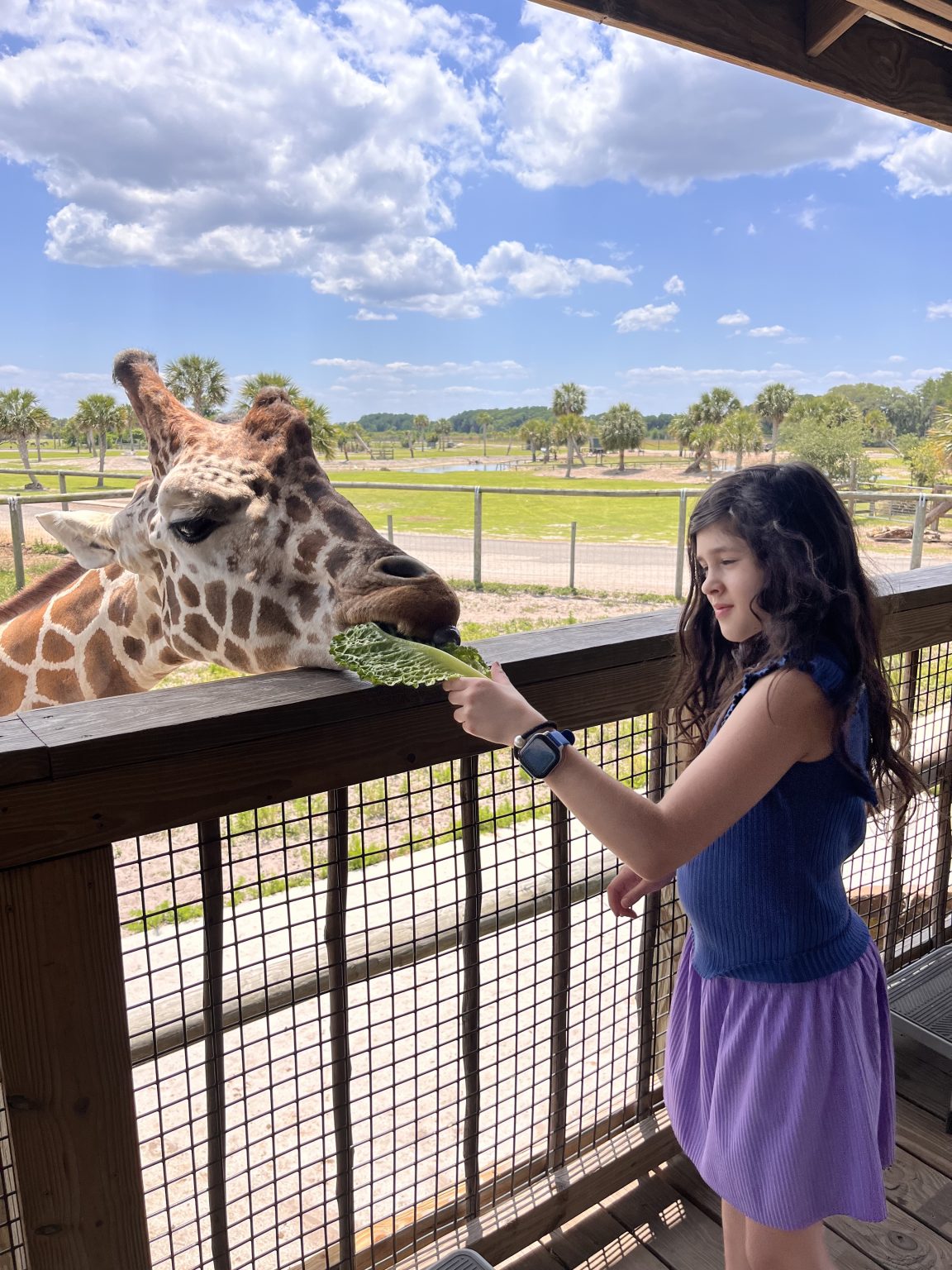 Family Travel: What To Do In Orlando If You’re Not Doing Disney