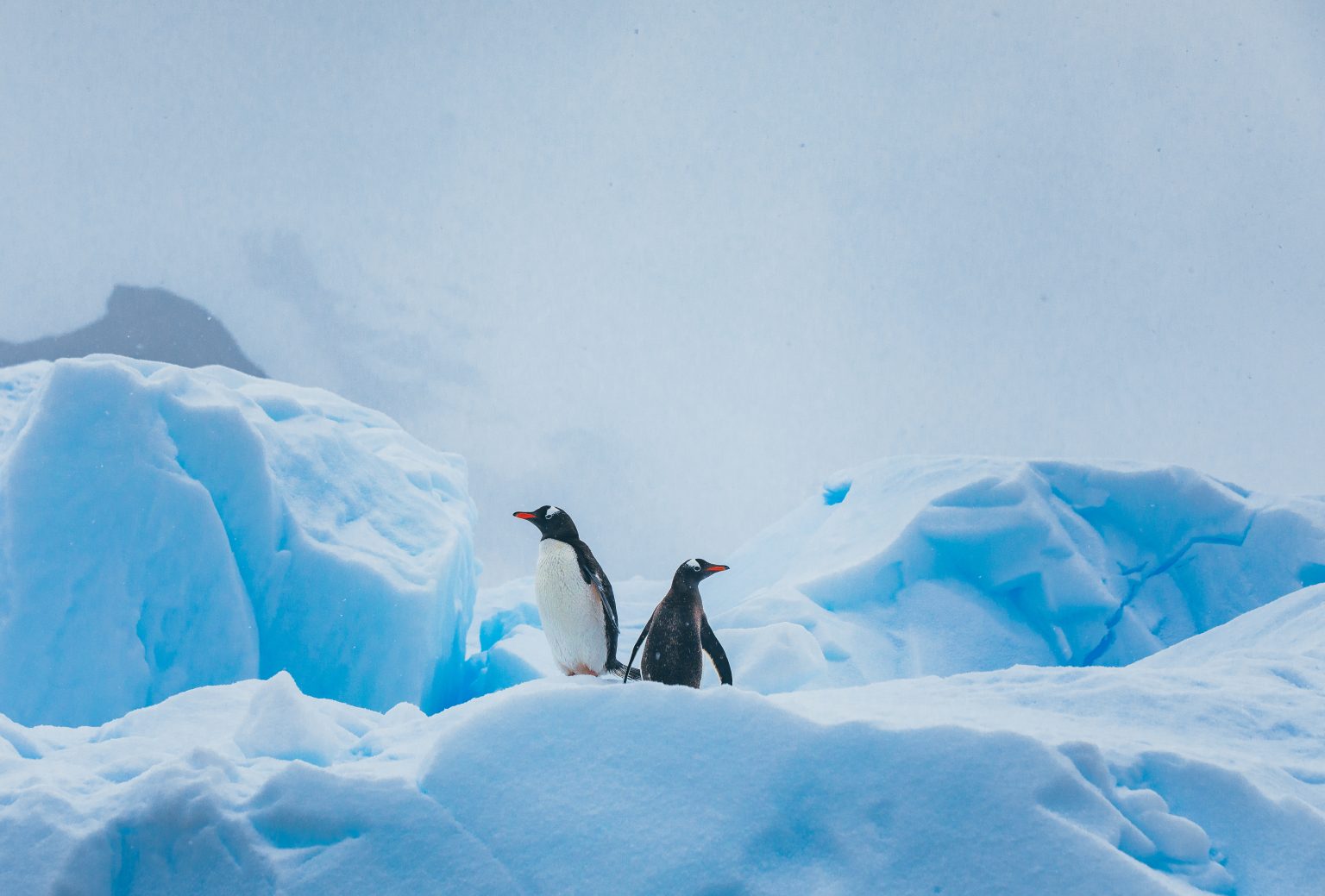 Leading the Way: An Antarctic Expedition with Ryan McDevitt on Quark Ultramarine
