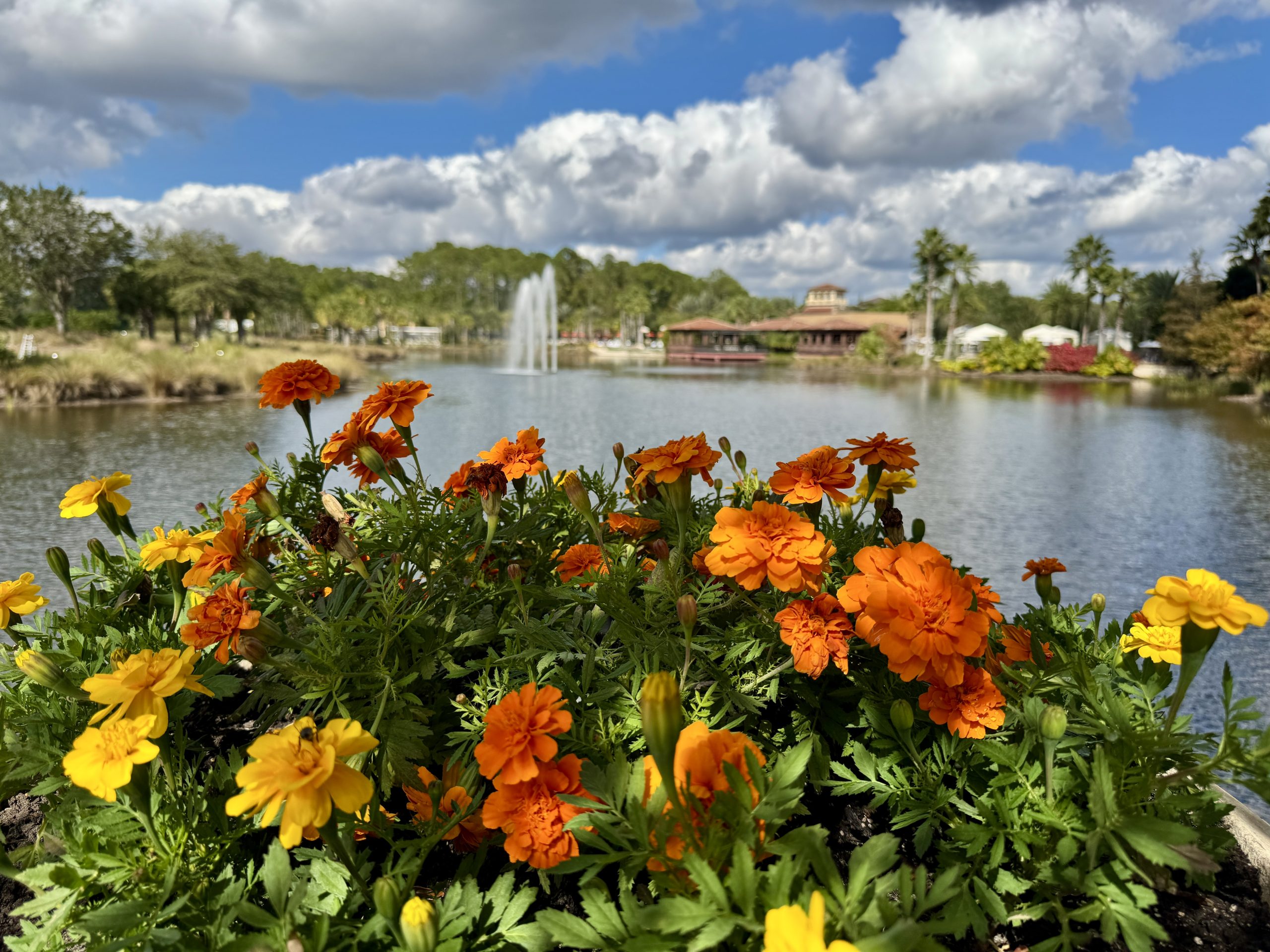 Why Planning a Trip Might Be the Best Antidote to Winter’s Emotional Slump